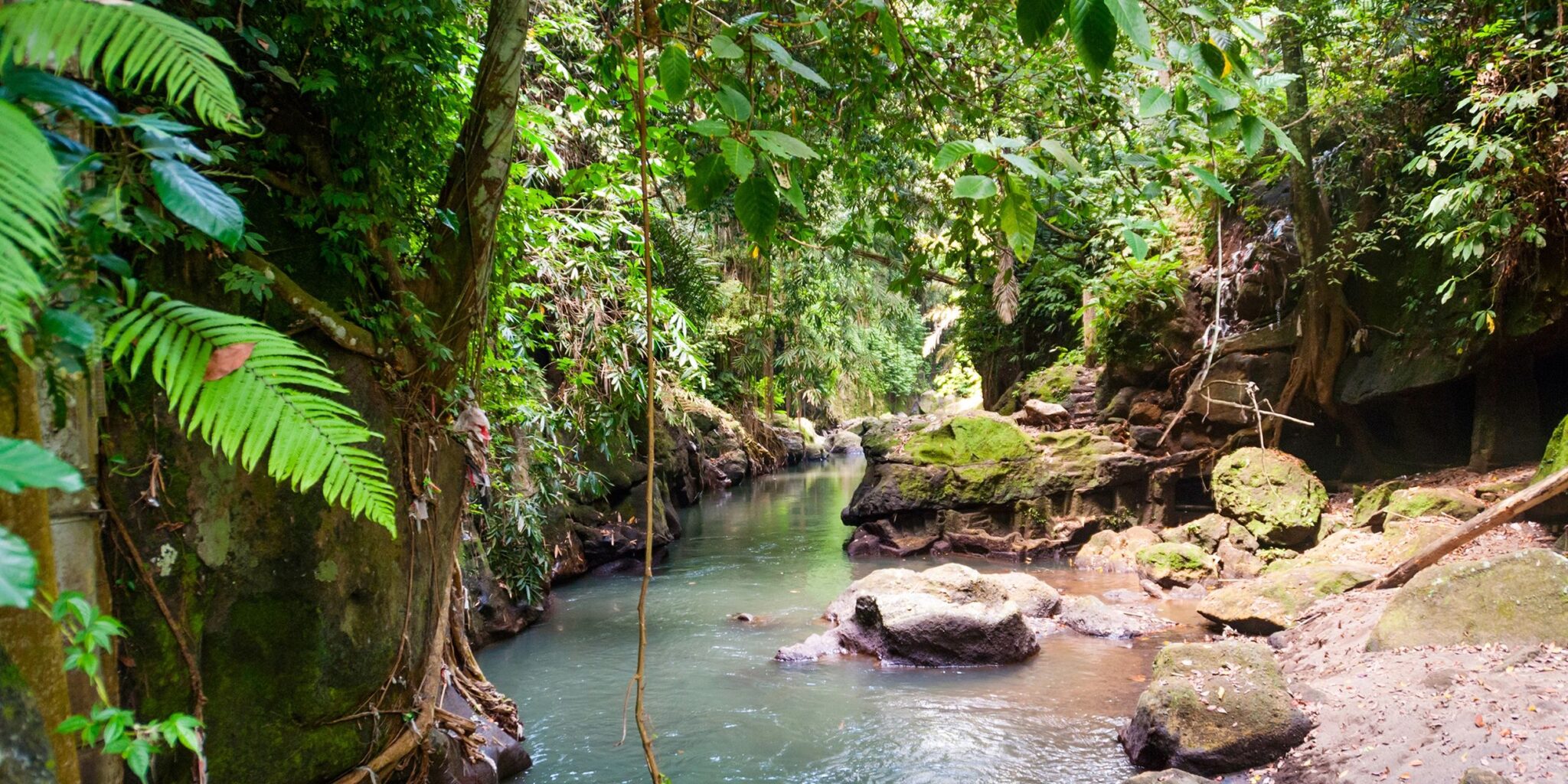 Best Waterfall Hike Maui - The King's Gardens